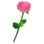 One Rose Flowers - cute2u! A free Cute Illustration for Everyone!